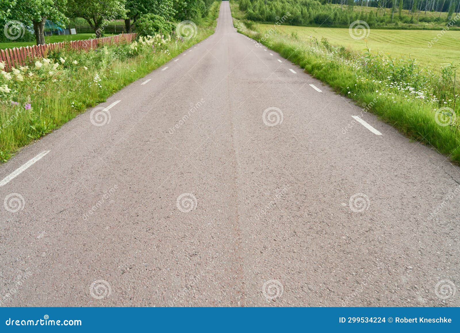 Close-up View of Grey Asphalt Road with Road Markings Stock Photo ...
