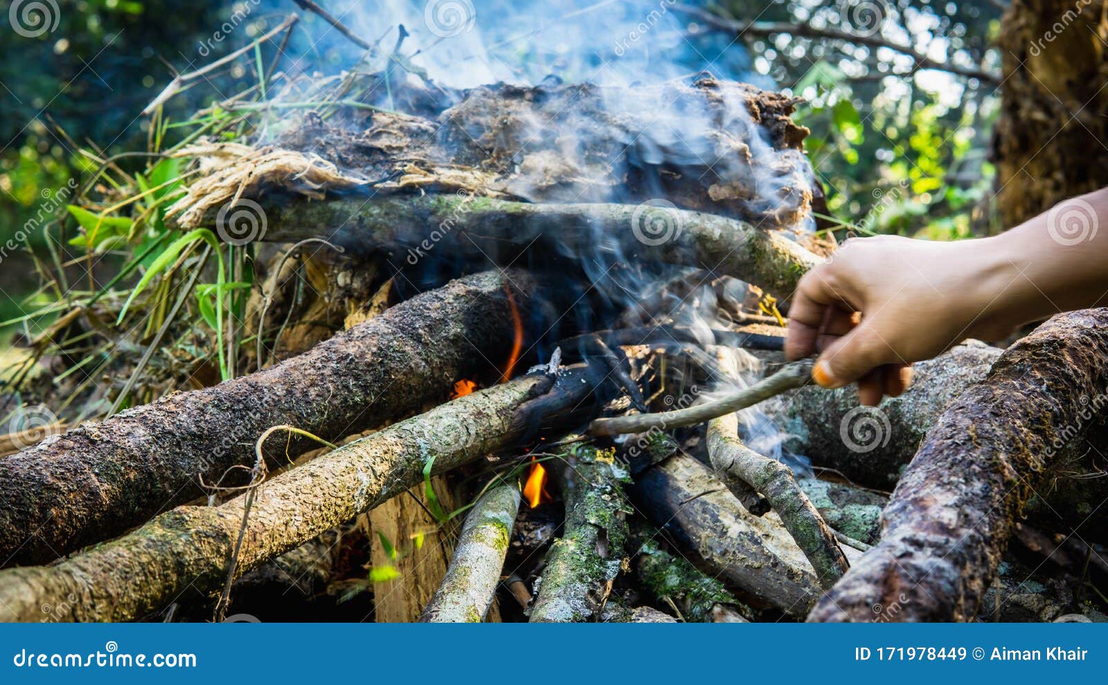 Close Up View of Hand Making a Campfire Using the Dried Tree Branches ...