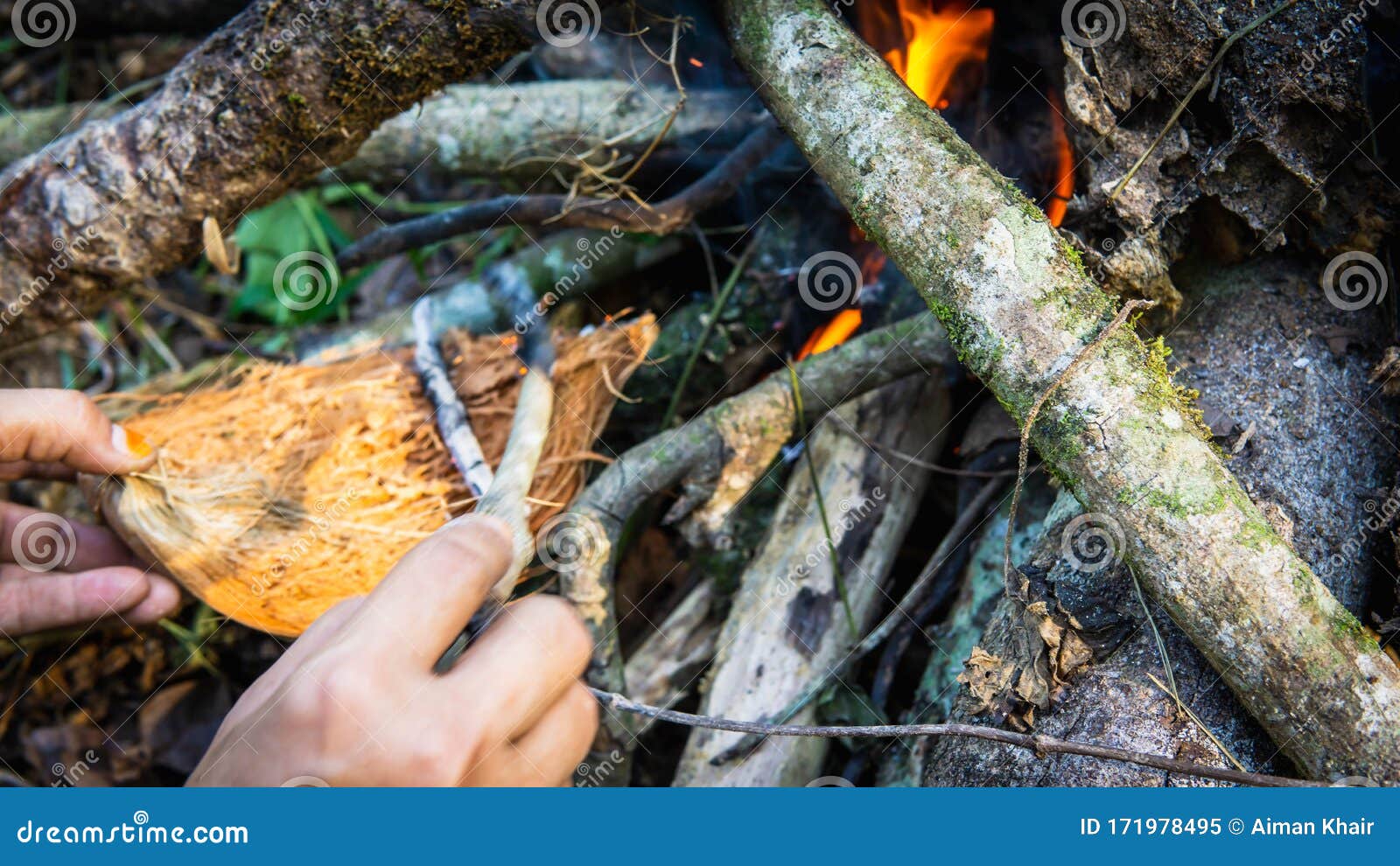 Close Up View of Hand Making a Campfire Using the Dried Tree Branches ...