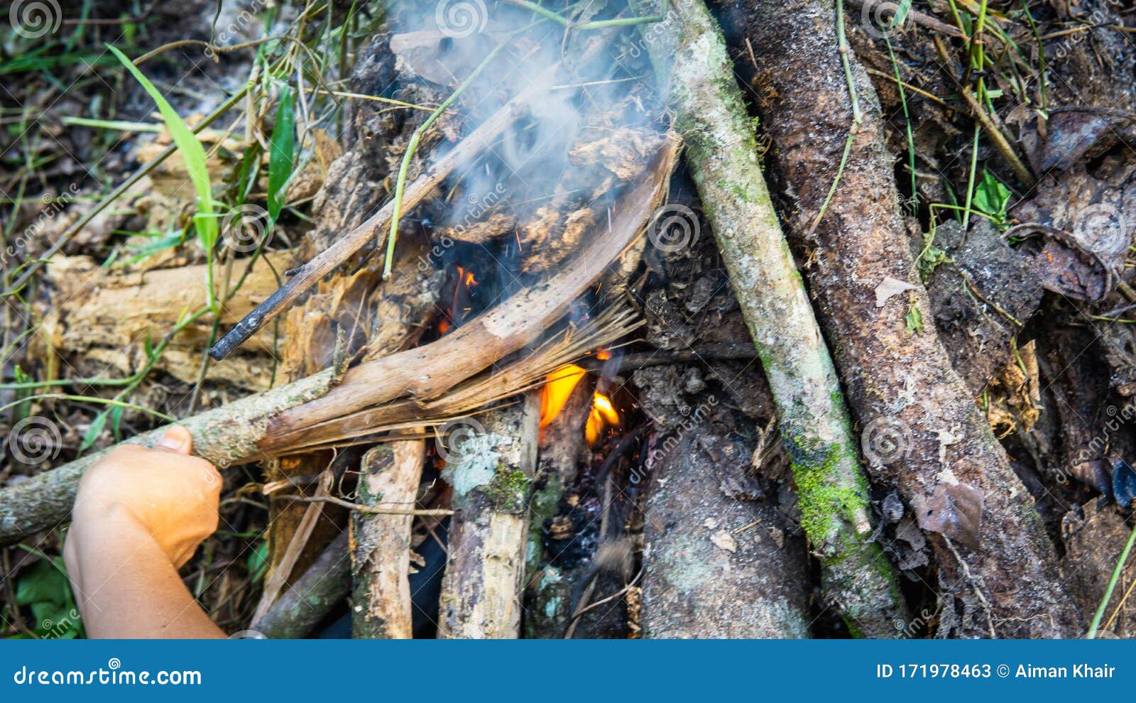 Close Up View of Hand Making a Campfire Using the Dried Tree Branches ...
