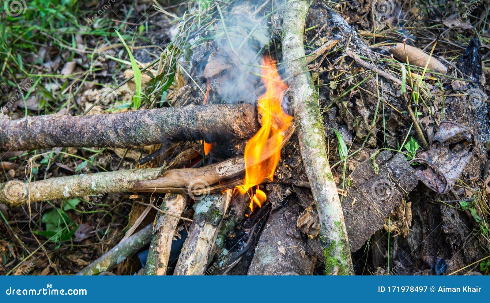 Close Up View of Hand Making a Campfire Using the Dried Tree Branches ...
