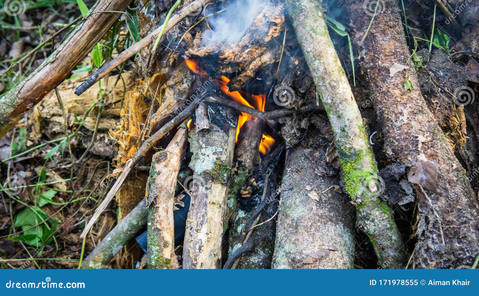 Close Up View of Hand Making a Campfire Using the Dried Tree Branches ...