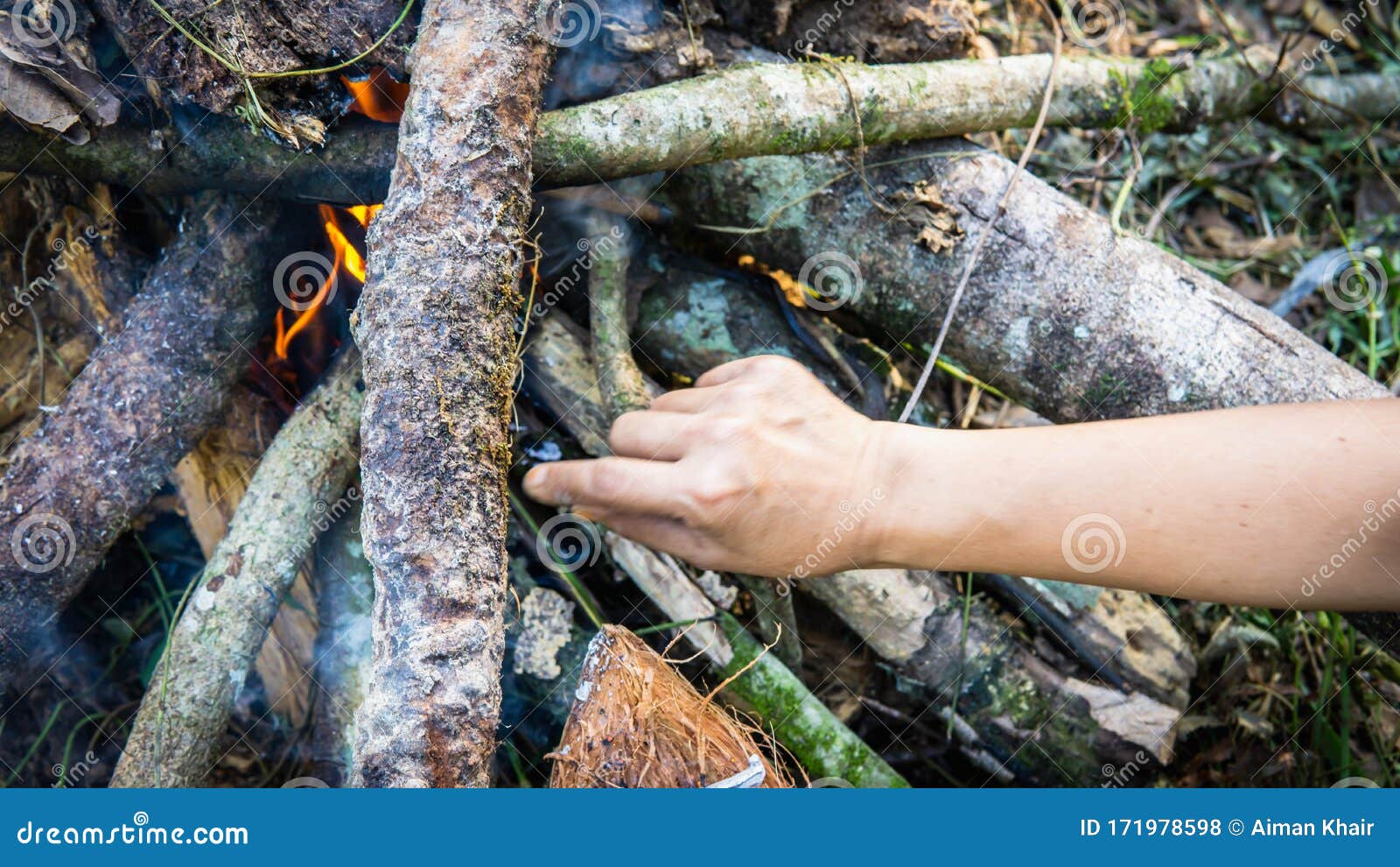 Close Up View of Hand Making a Campfire Using the Dried Tree Branches ...
