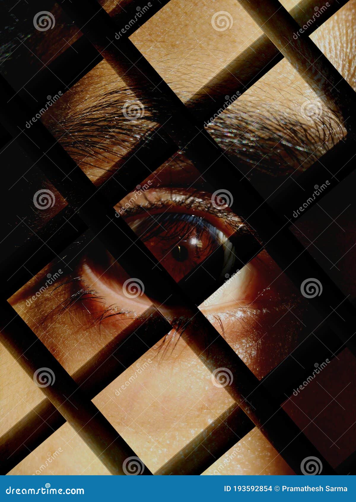 A Close Up View of Human Eye Stock Photo - Image of view, optical ...