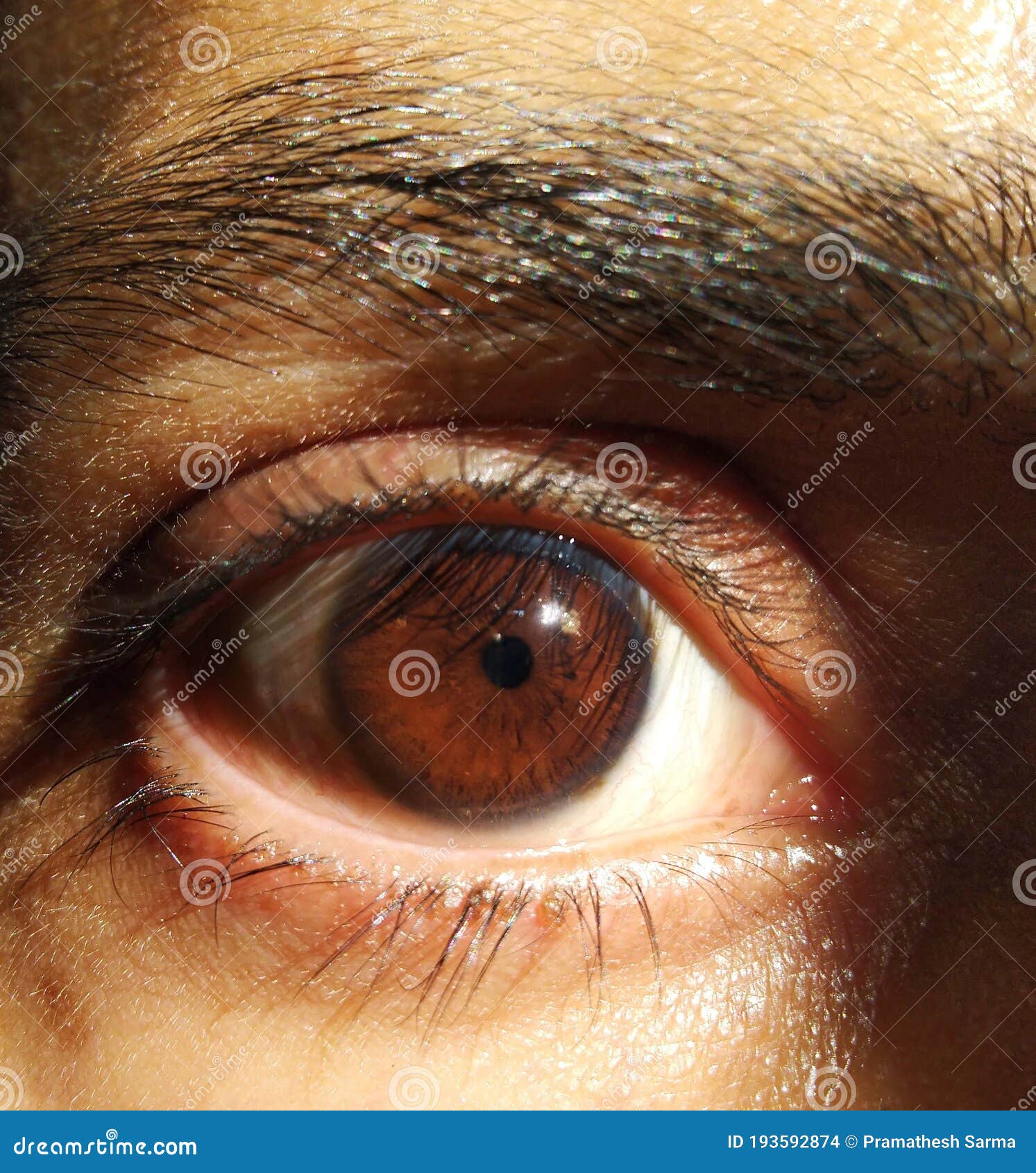 A Close Up View of Human Eye Stock Photo - Image of eyeball, vison ...