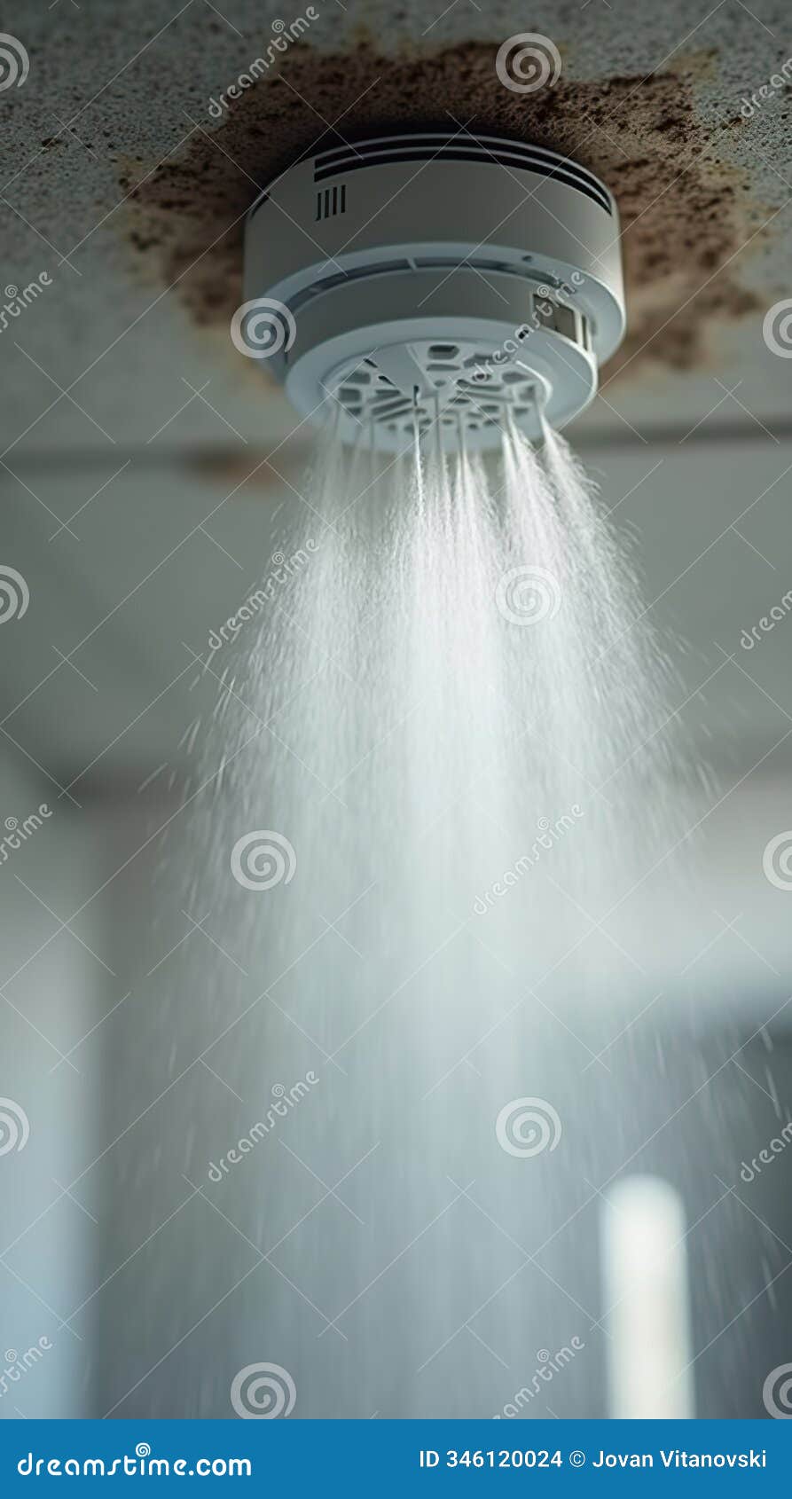 Close-Up View of Indoor Fire Suppression System and Smoke Detector ...