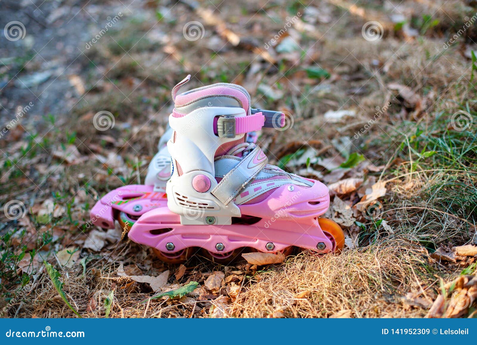 Close Up View of Inline Skate or Rollerblade Editorial Stock Image ...