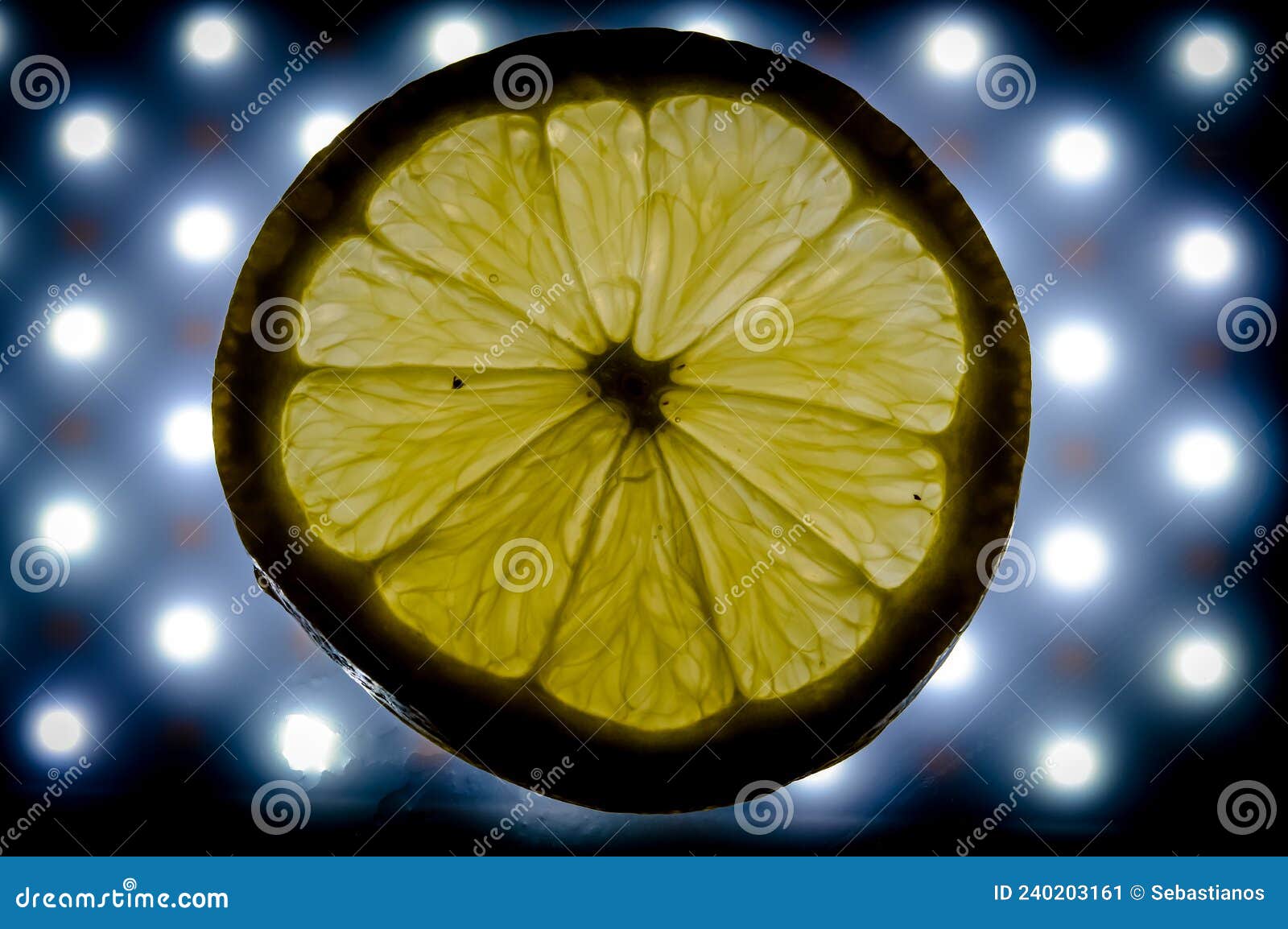 Close-up View of a Lemon Slice Backlit by Led Lights To Show the ...
