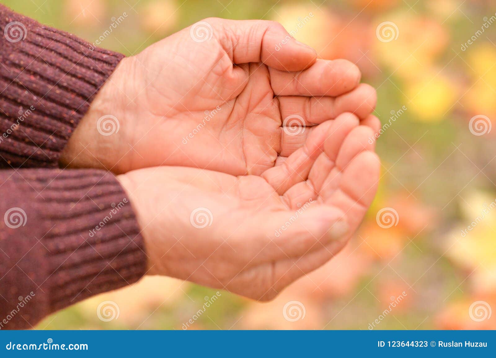 Close Up View of Male Hands at Nature Stock Image - Image of space ...