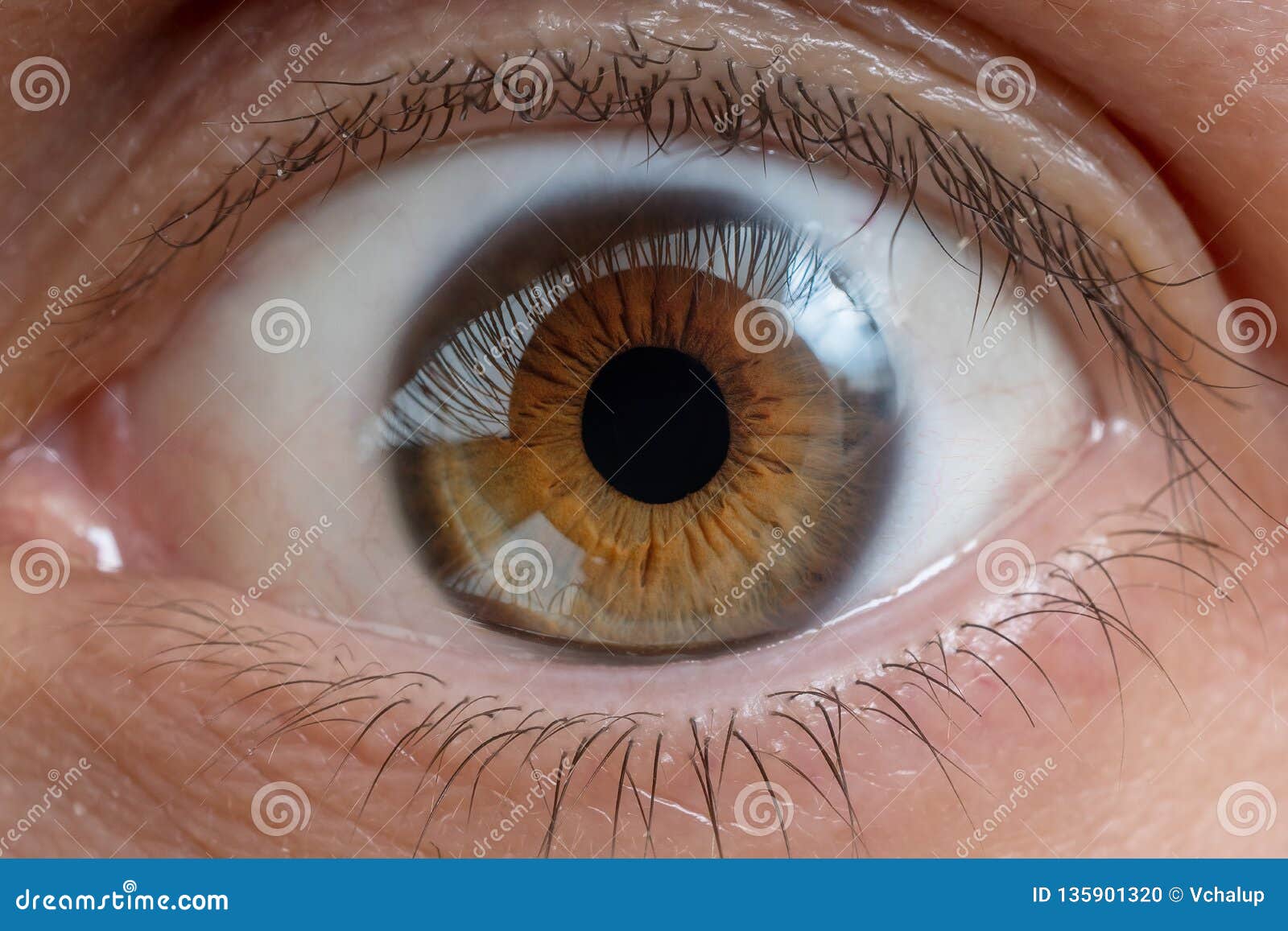 Close-up View on Man`s Eye. Stock Photo - Image of macro, human: 135901320