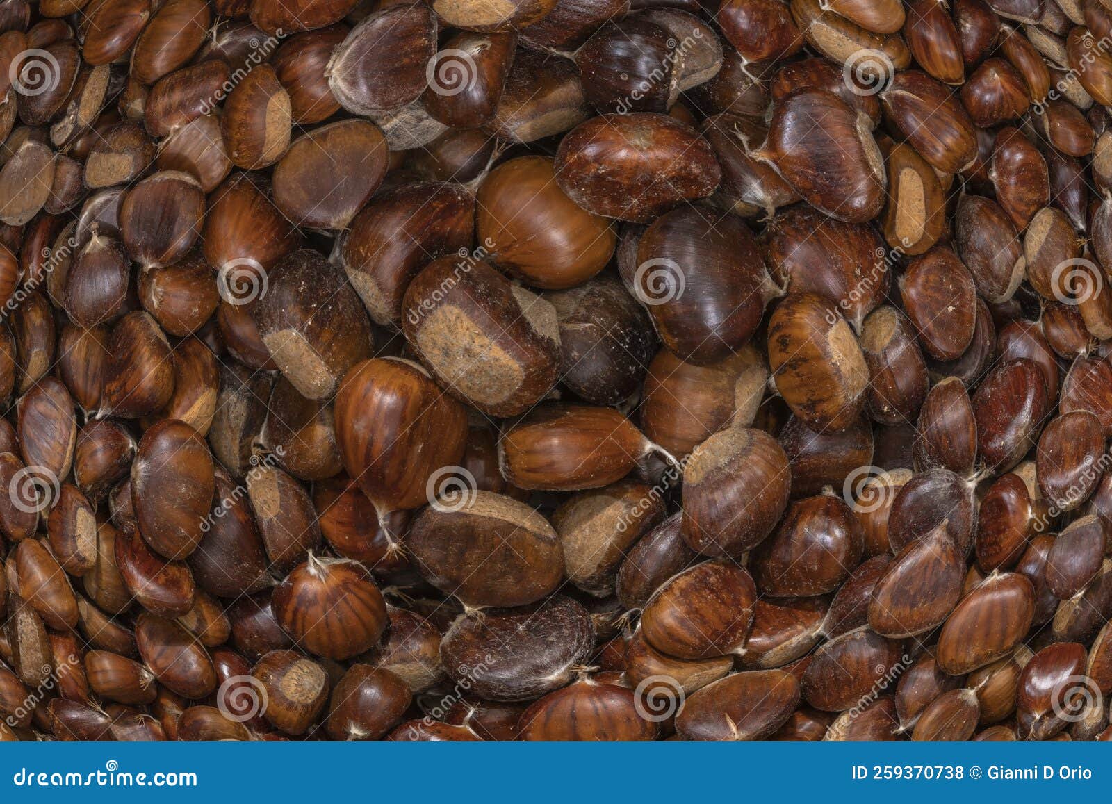 Close-up View of Many Chestnuts Stock Photo - Image of october, poster ...