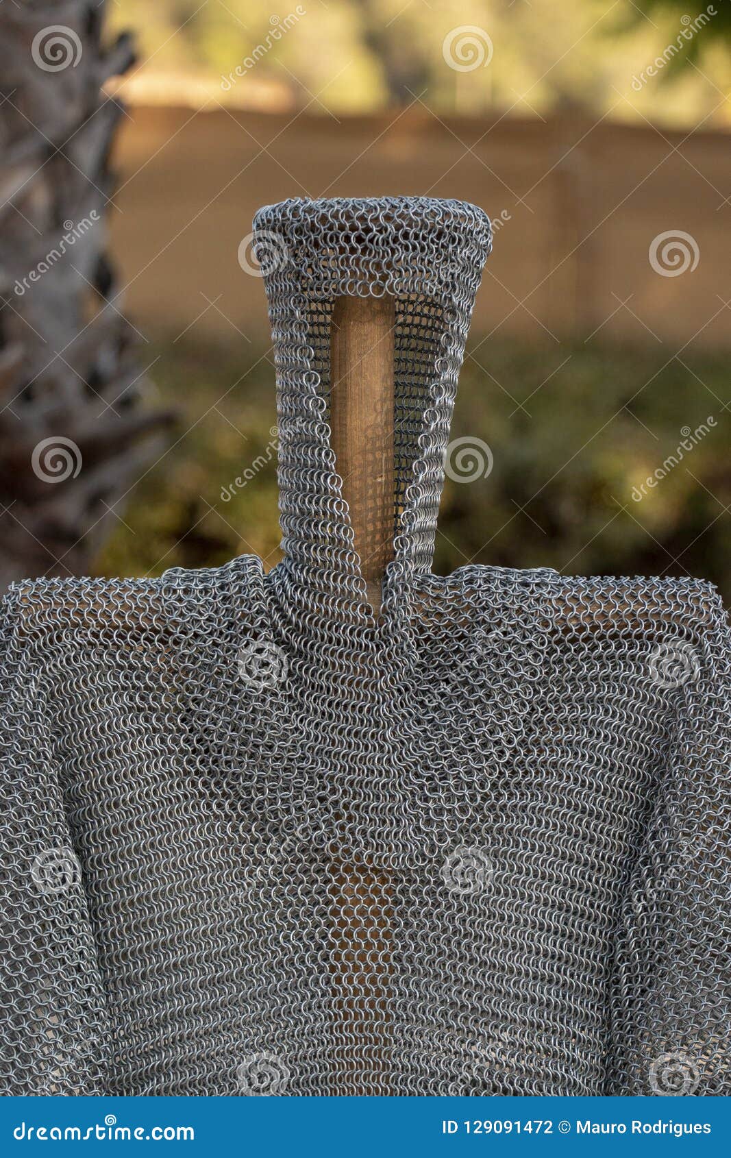 Medieval Chainmail Armor Torso Isolated On Transparent Background ...