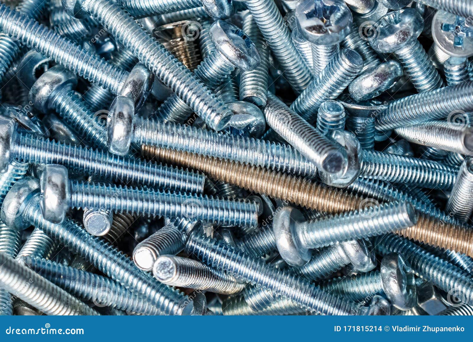 Close-up View of Metal Screws of Various Lengths and Head Types Stock ...
