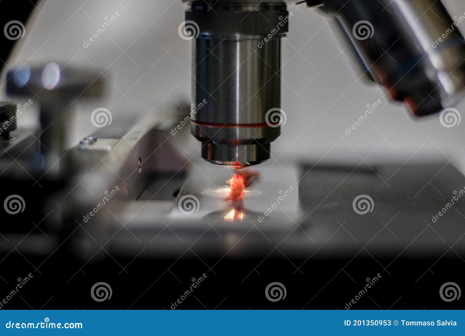 Close-up View of a Microscope while Analyzing a Red Wool Thread. Stock ...