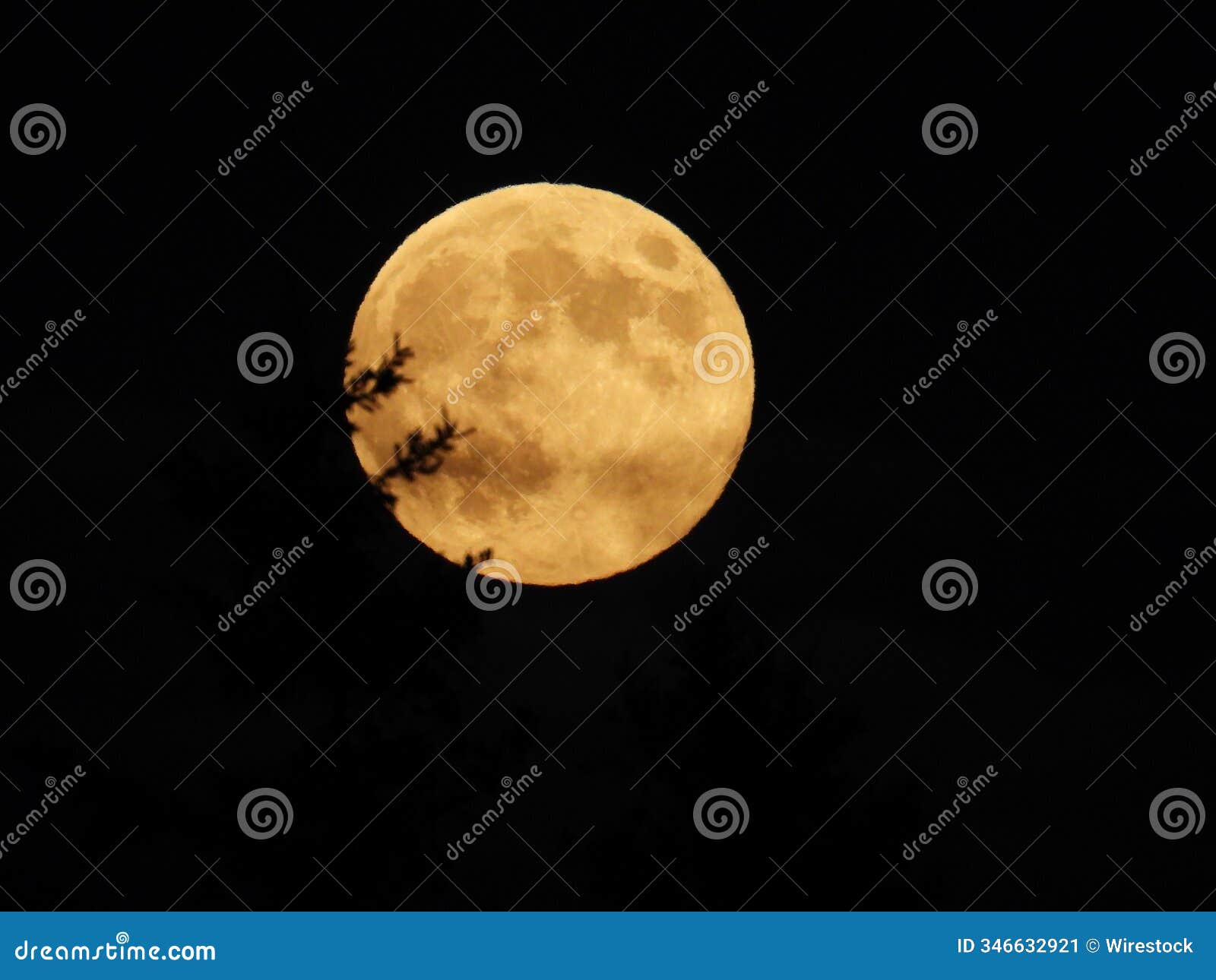 Close-up View of the Moon, Showcasing Its Detailed Surface Patterns and ...