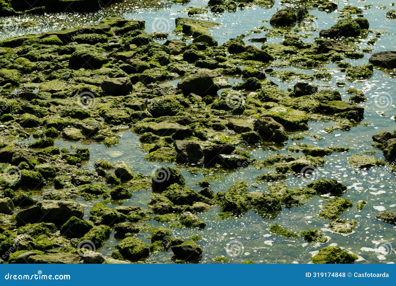 Close-up View of Moss-covered Rocks in the Sea, with Sparkling Water ...