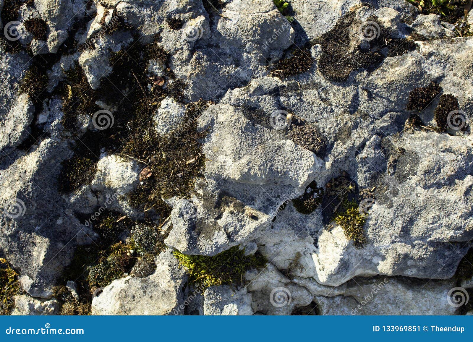 Close Up View of Mountain Rocks and Moss Stock Image - Image of nature ...