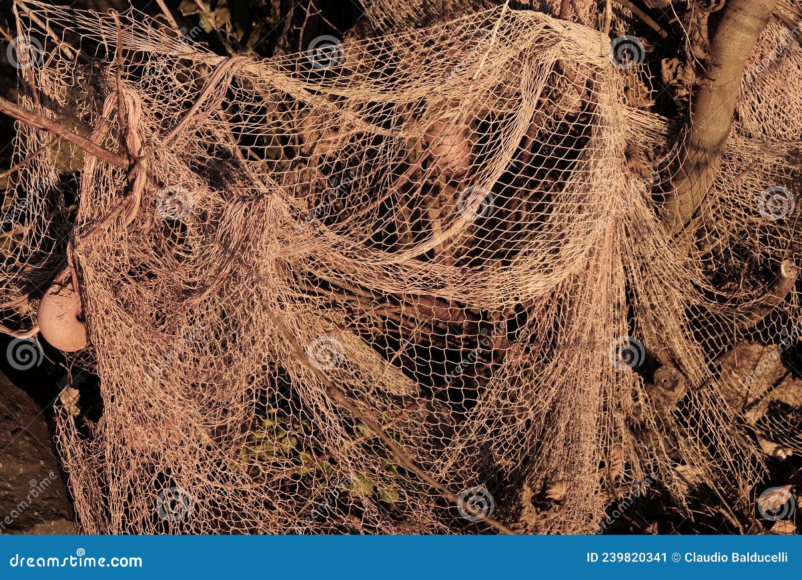 Close Up View of Old Fishing Net Stock Image - Image of mesh, industry ...