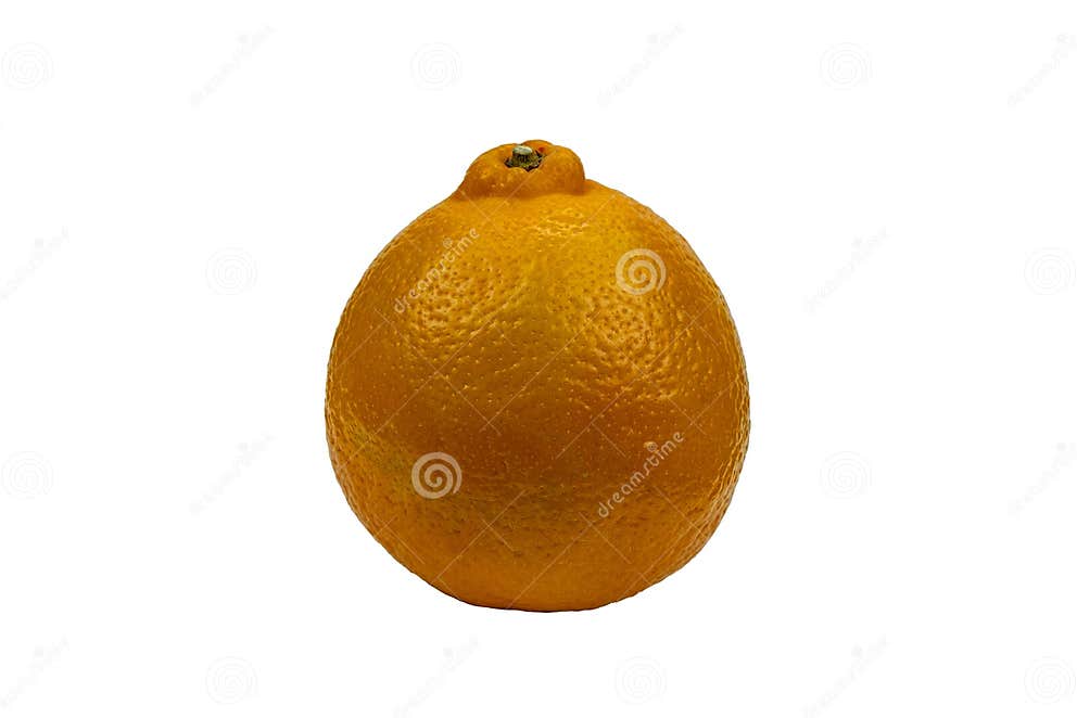 One large orange stock photo. Image of large, plain - 289742576