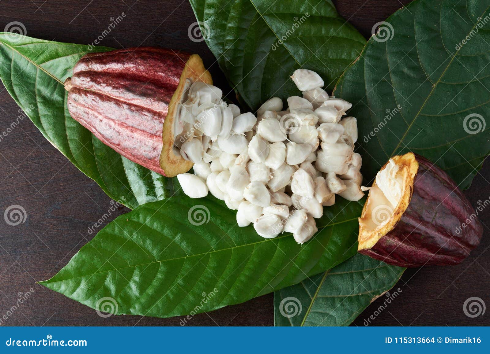 Close-up View of Open Cacao Pod Stock Photo - Image of cooking, close ...