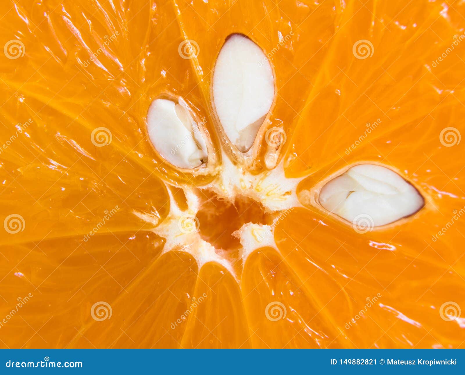 Close-up View of Orange Flesh with White Seeds Stock Image - Image of ...