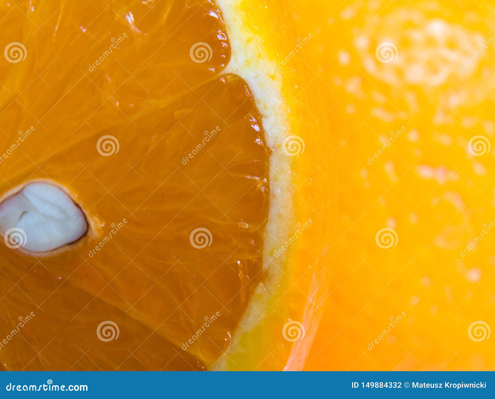 Close-up View of Orange Flesh with White Seeds Stock Photo - Image of ...