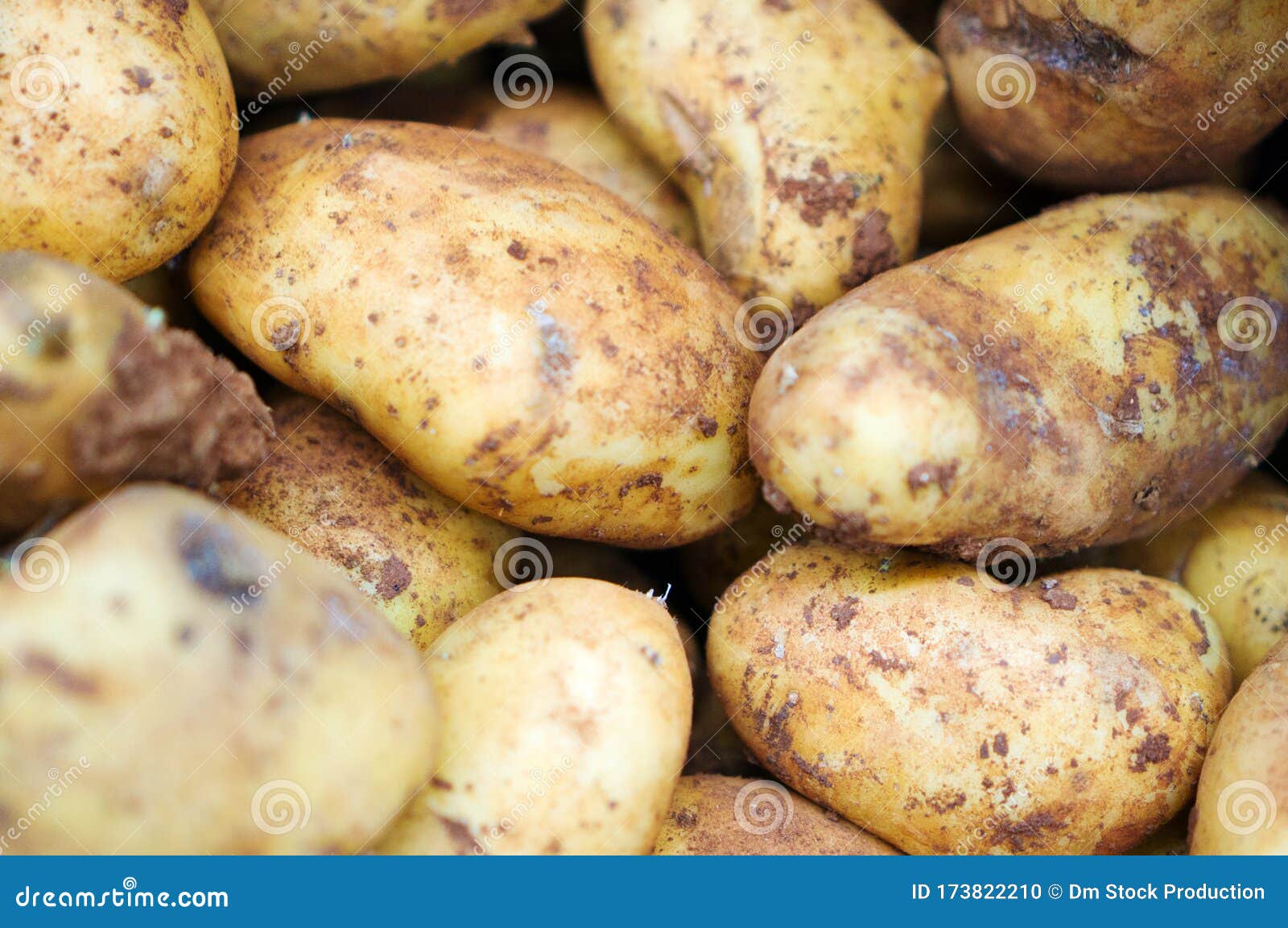 Potatoes in supermarket stock photo. Image of cooking - 173822210
