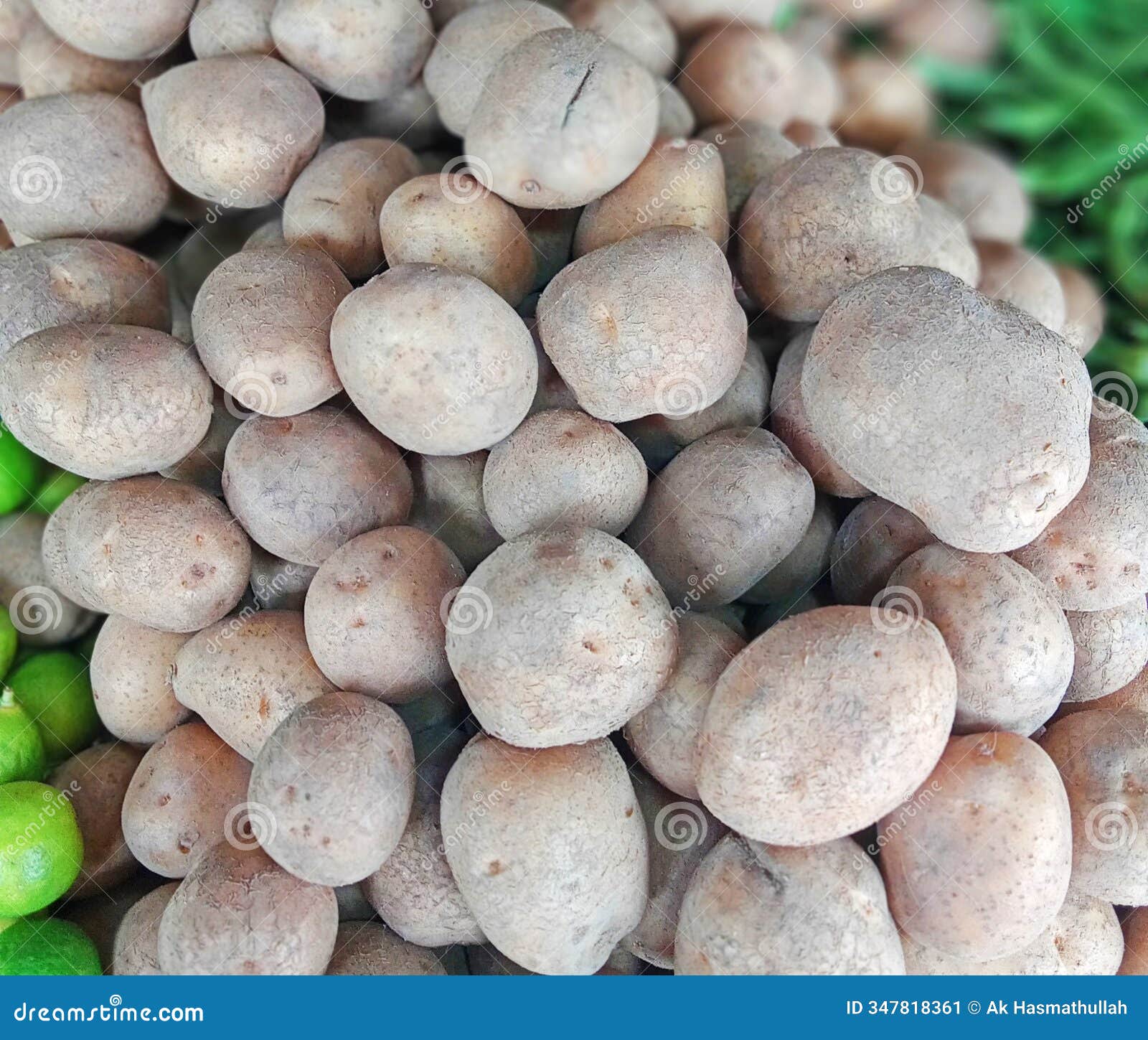 Pile Of Potatoes Lying On Wooden Boards With A Potato Bag Stock Image ...
