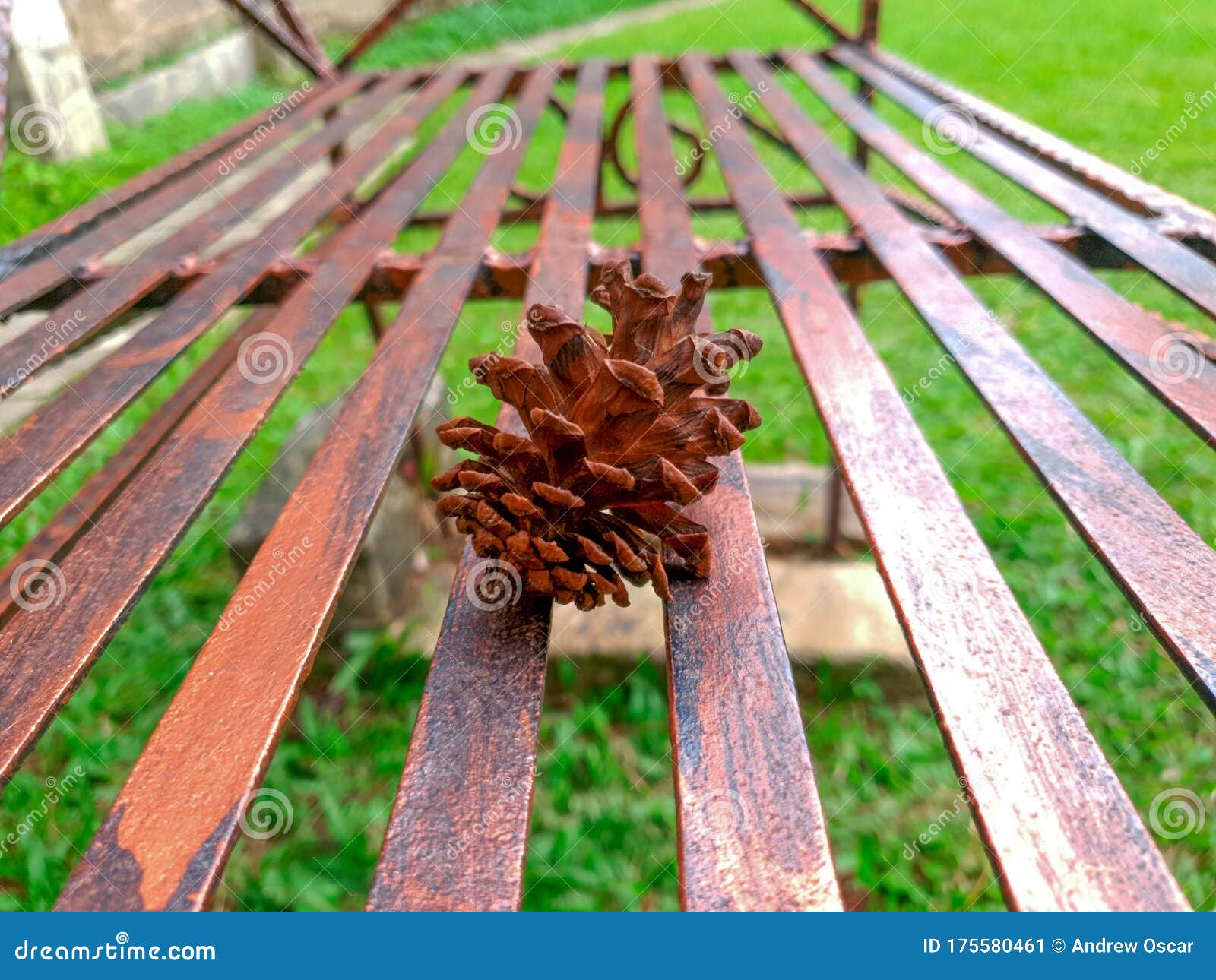 Cone Sits Bench Stock Photos - Free & Royalty-Free Stock Photos from ...