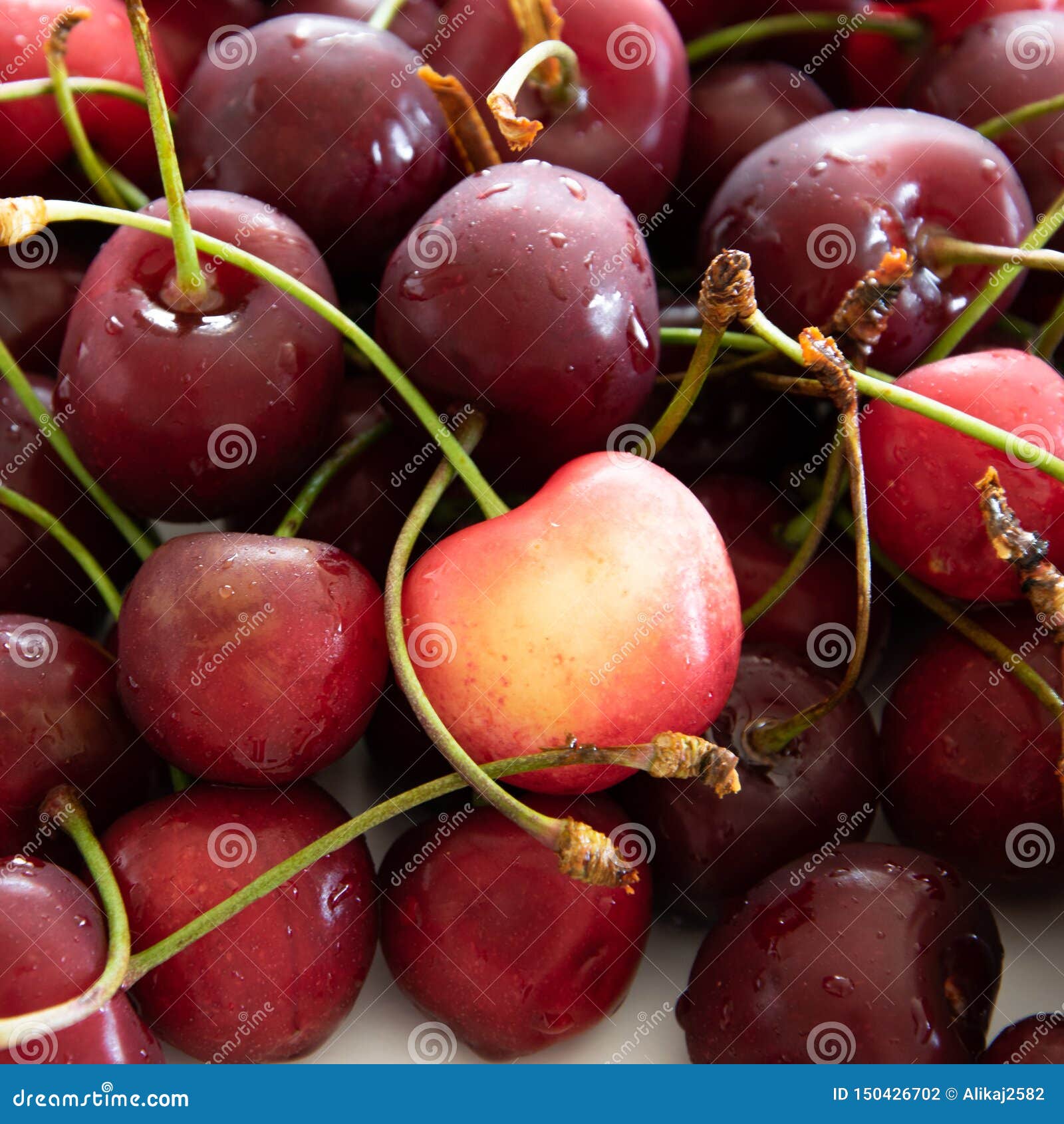 Close Up View of Raw Cherries Stock Photo - Image of cherries, closeup ...