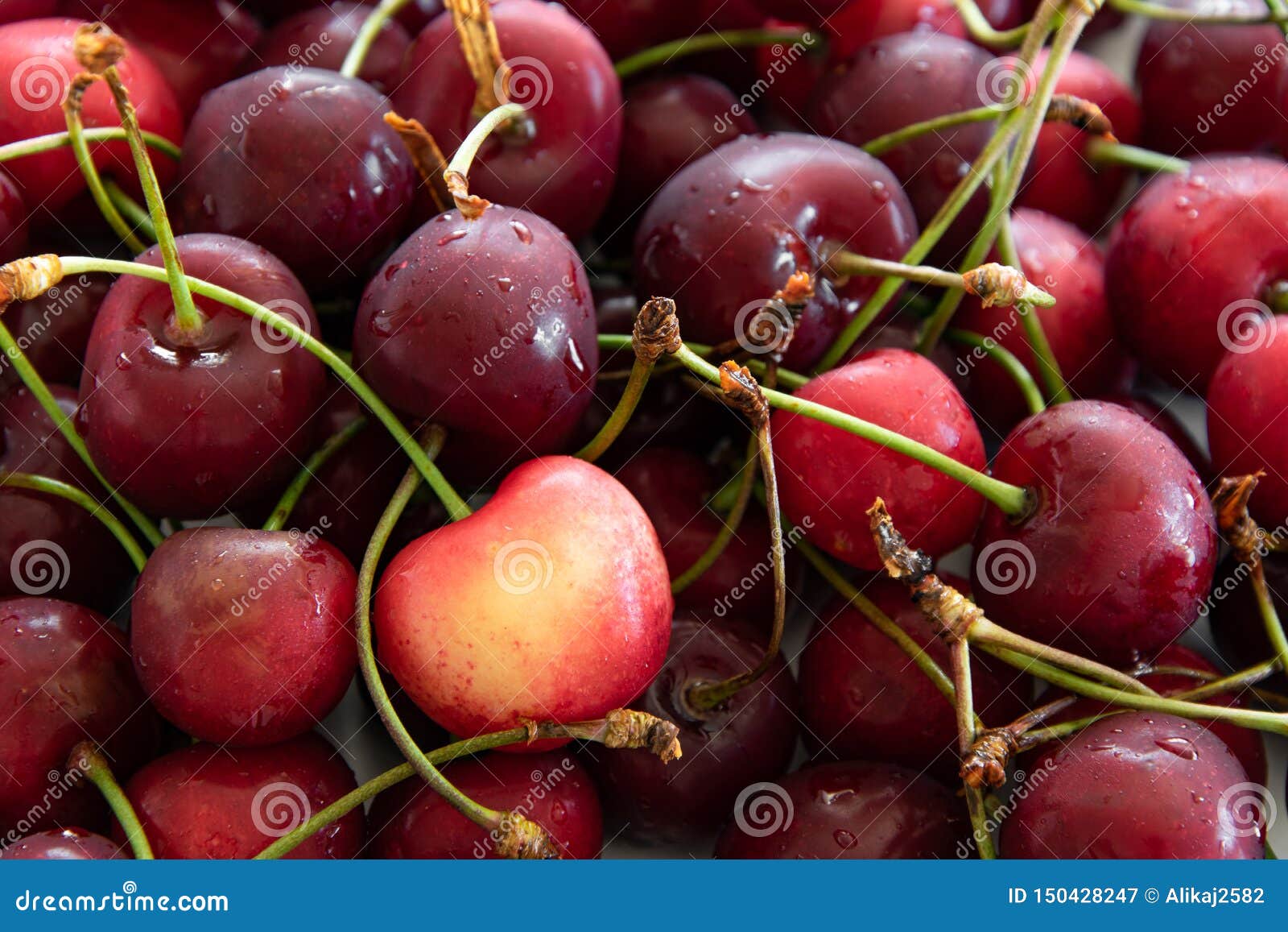 Close Up View of Raw Cherries Stock Image - Image of antioxidant ...