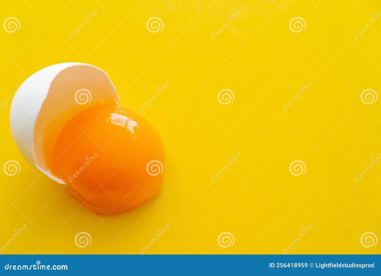 Close Up View of Raw Natural Stock Image - Image of yellow, yolk: 256418959
