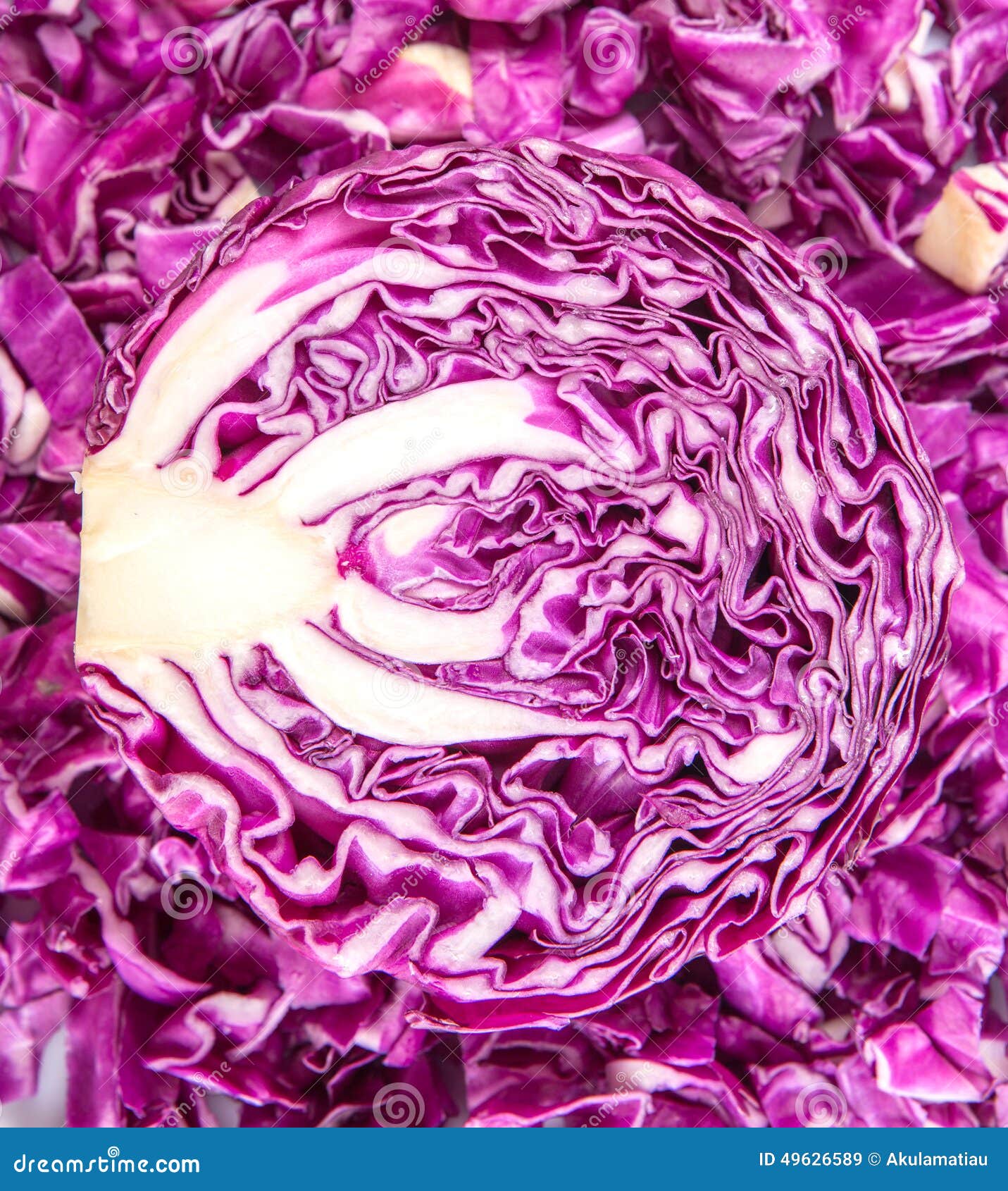 Close Up View of Red Cabbage Stock Image - Image of fiber, nutrition ...