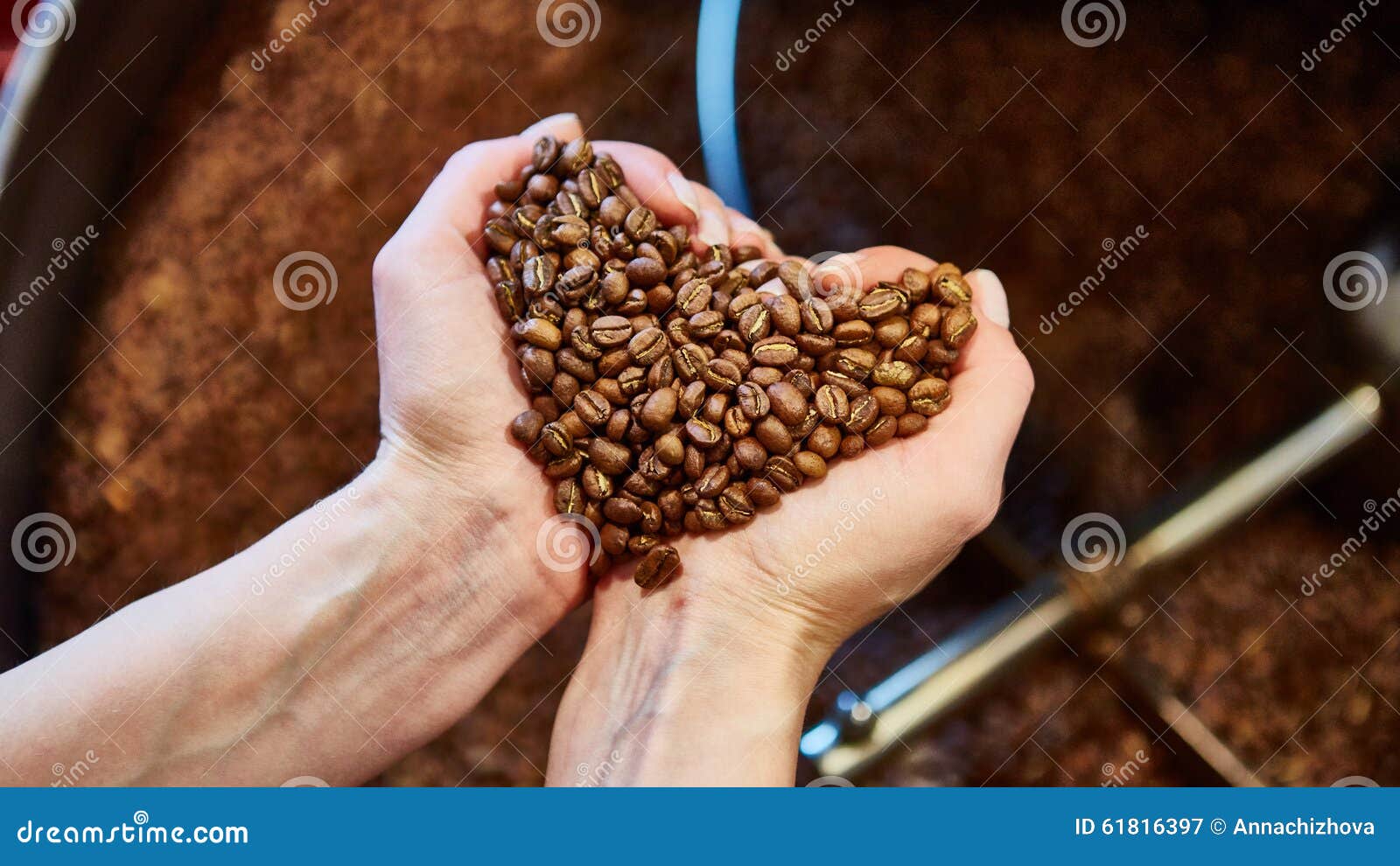Close-up View of Roasted Coffee Beans in Hand Stock Image - Image of ...
