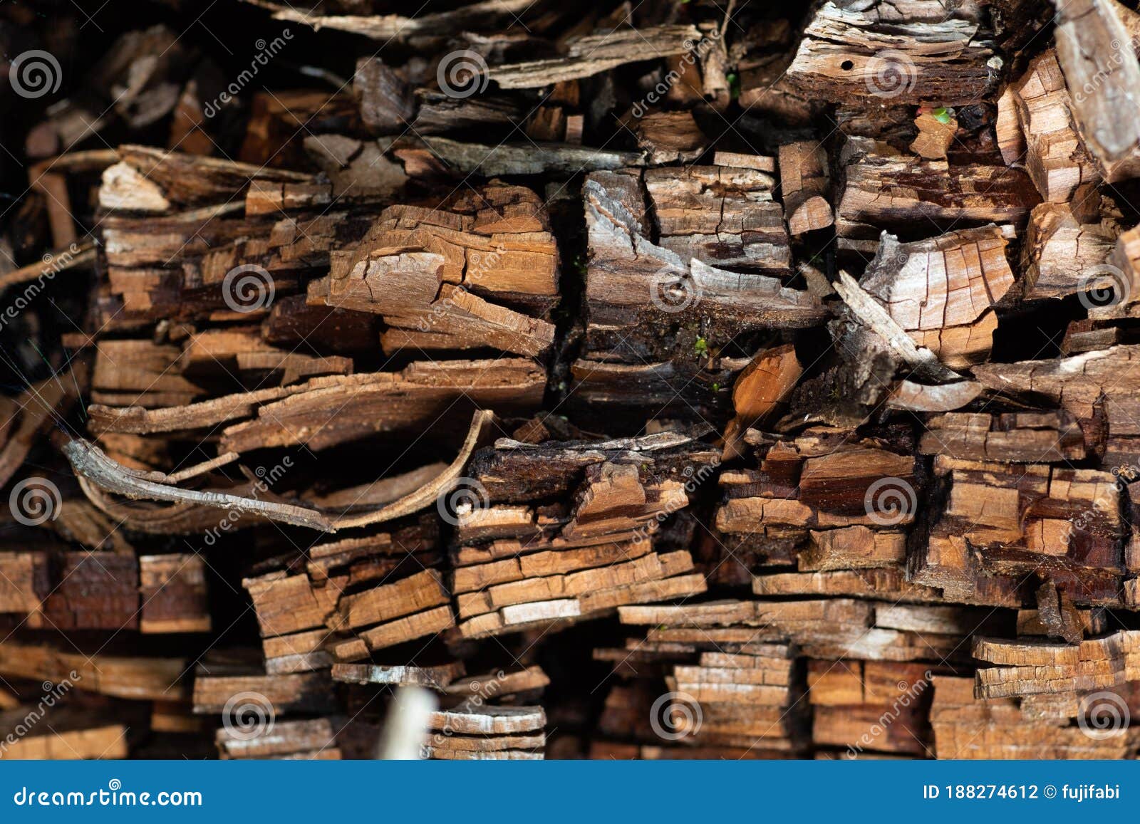 Rotten wood stock photo. Image of erosion, material - 188274612
