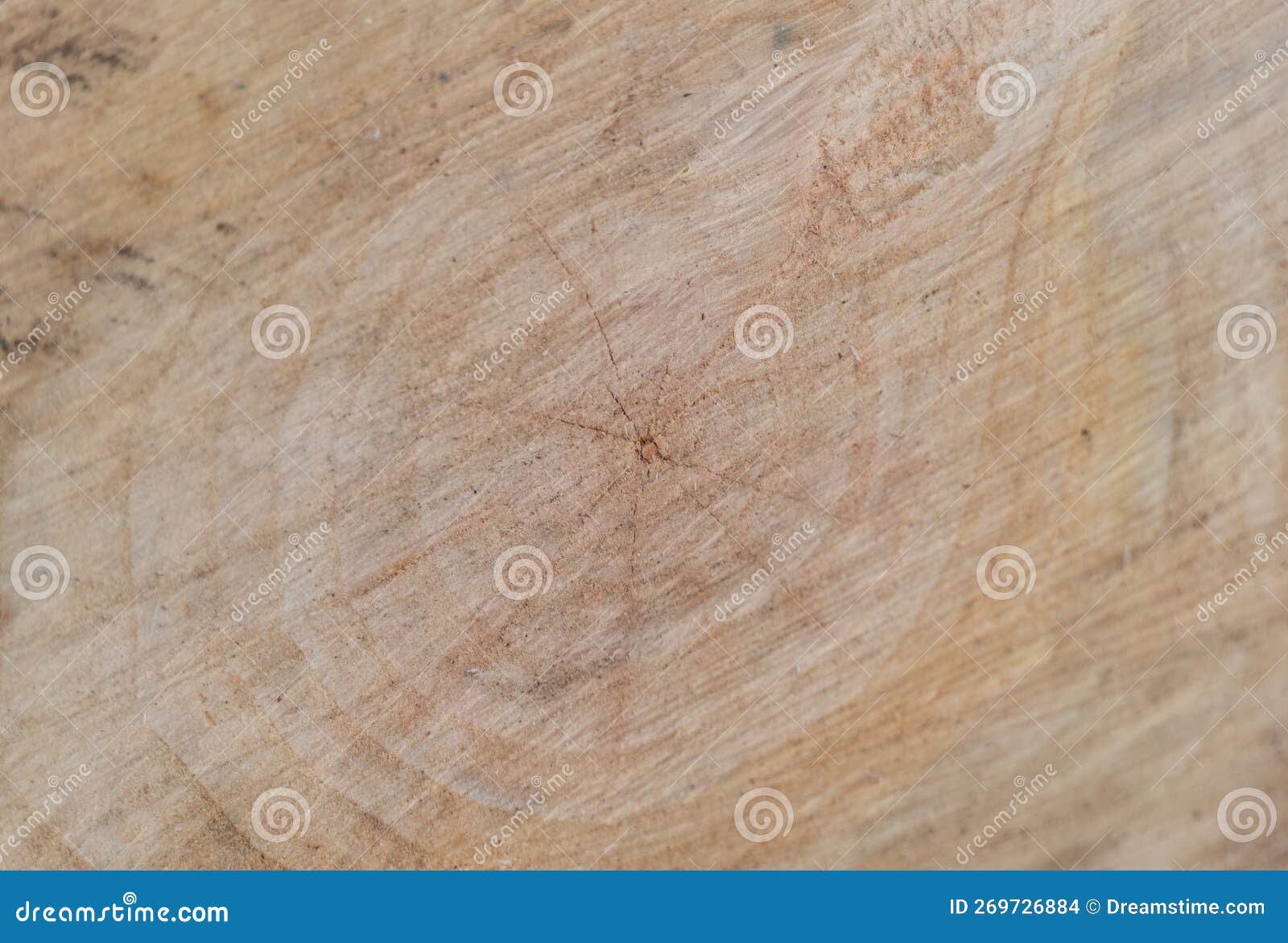 A Close-up View of Rustic Tree Log Texture Stock Photo - Image of ...