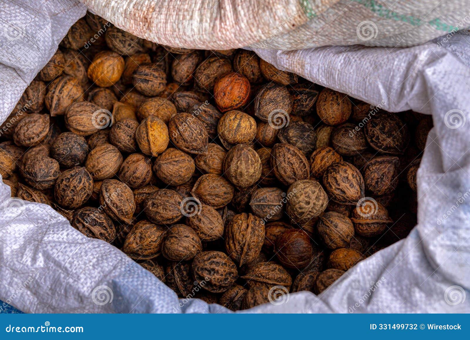 Close-up View of a Sack Filled with Whole Walnuts, Showcasing Their ...