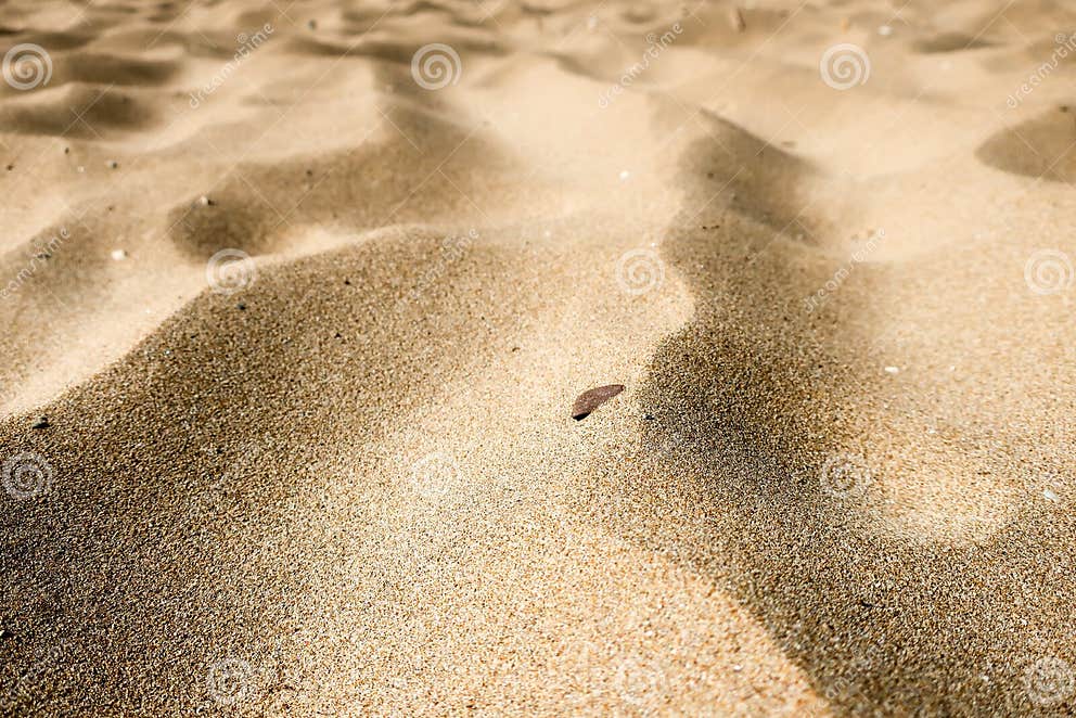Close Up View of Sand on a Beach Stock Photo - Image of textured ...