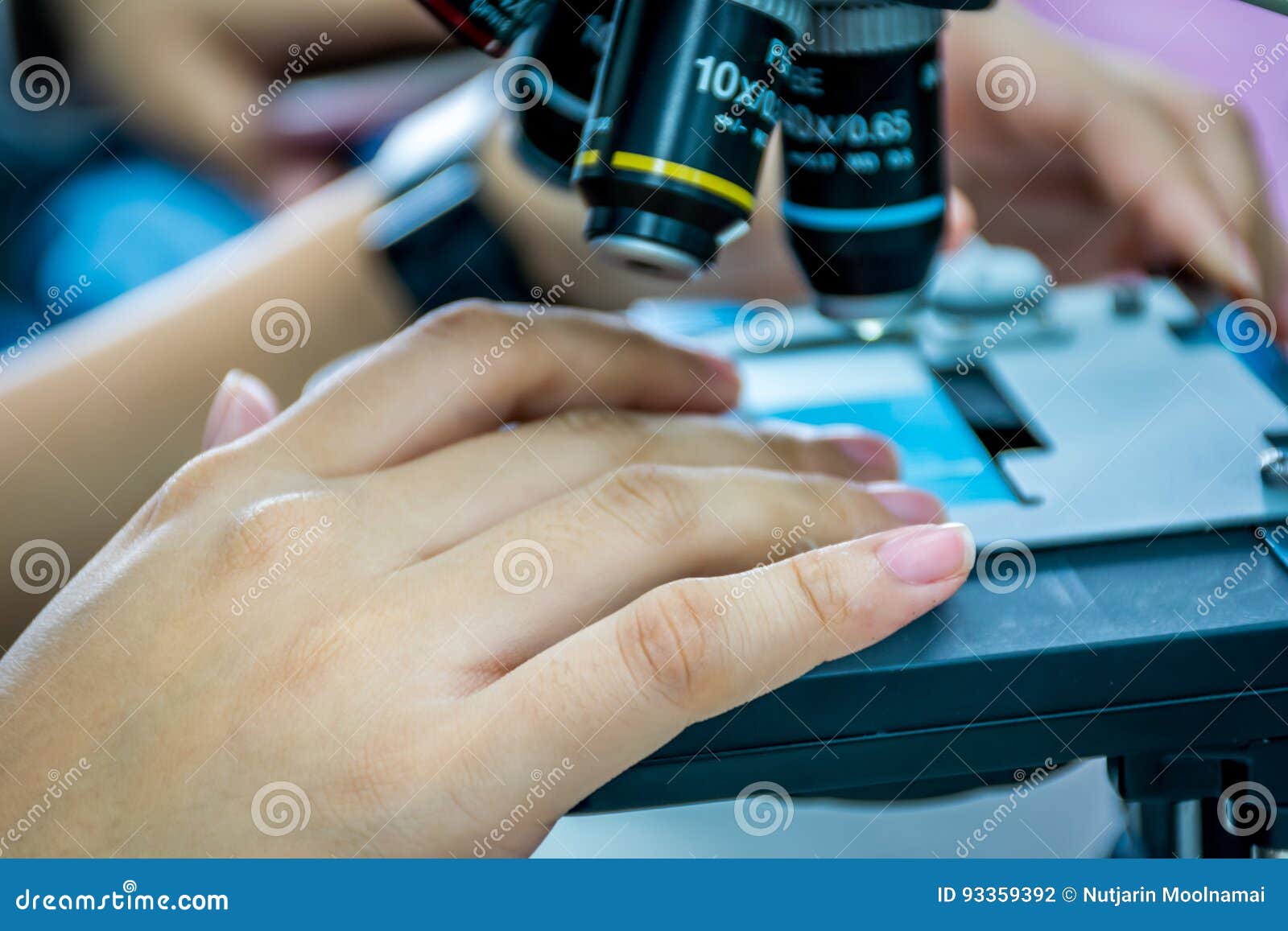 Close Up View of Scientist Hands with a Slide Ofthe Sample in Th Stock ...