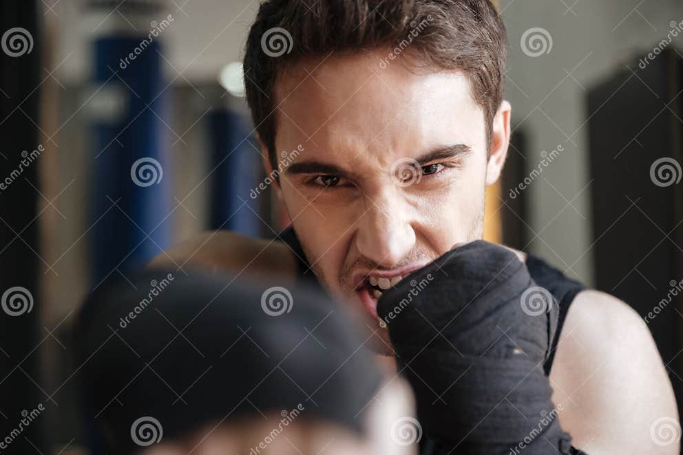 Close Up View of Screaming Boxer Doing Exercise in Gym Stock Photo ...