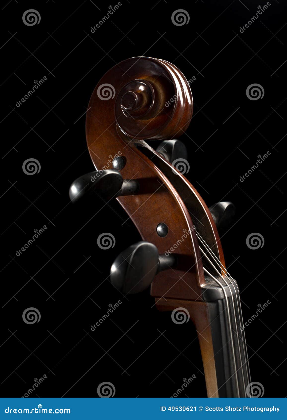 Close Up View of a Scroll on a Cello. Stock Image - Image of cello ...