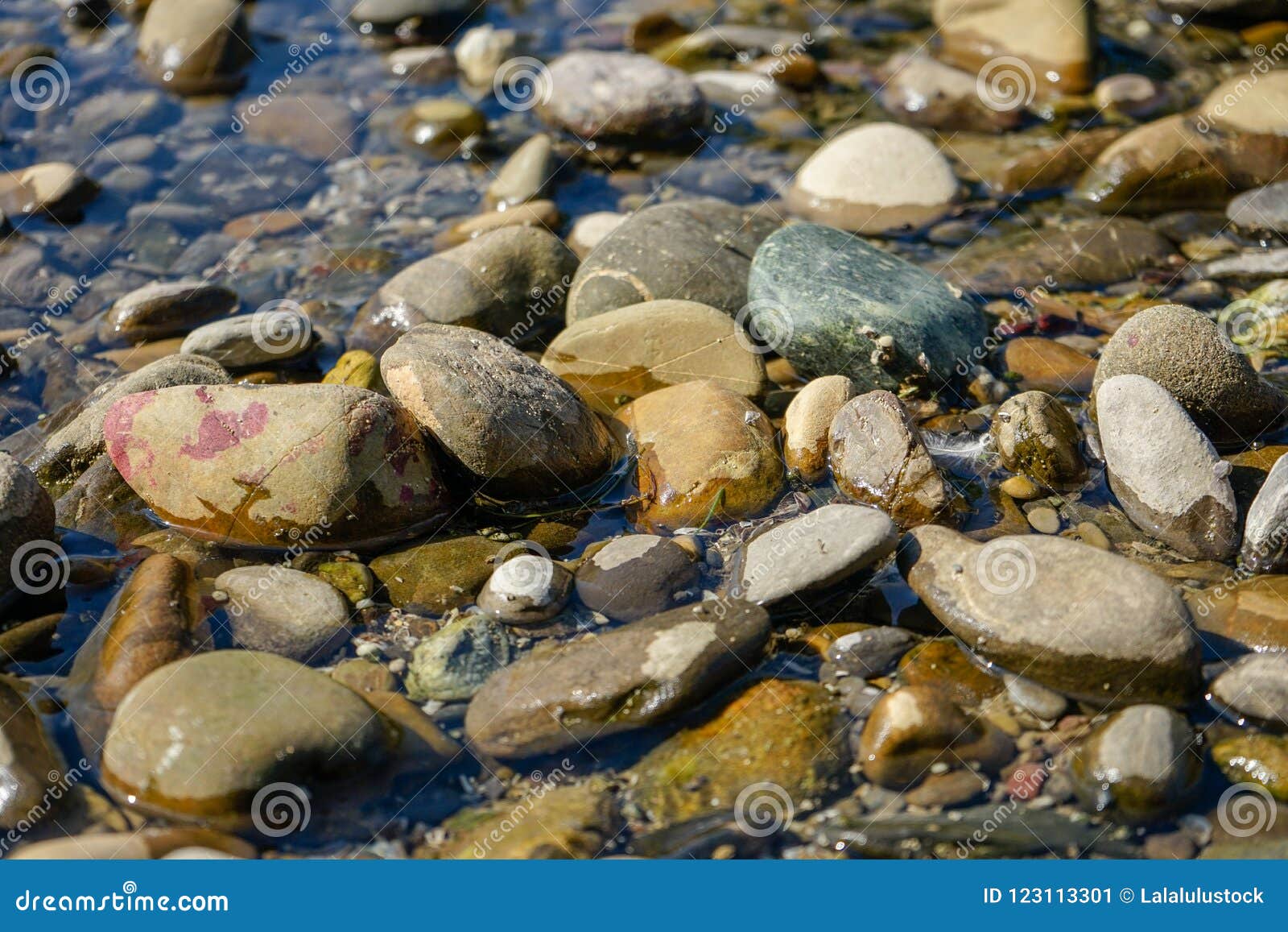Stones in River with Clear Water Stock Image - Image of flow, closeup ...