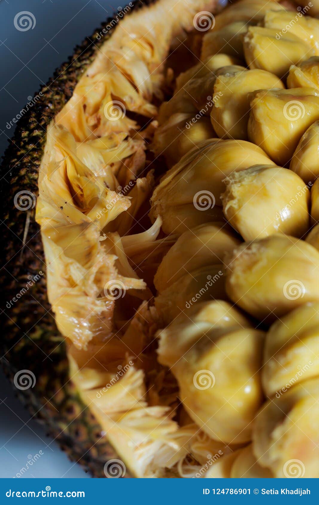 Cempedak fruit stock image. Image of left, cempedak - 124786901