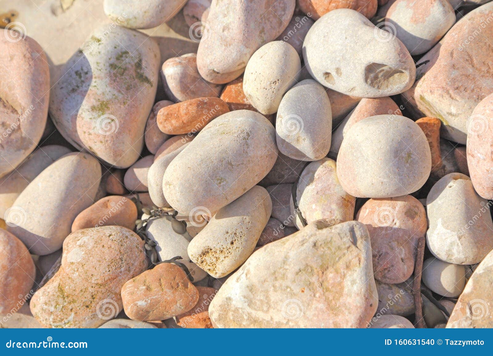 Close Up View of Smooth Pebbles Stock Photo - Image of summer, detail ...