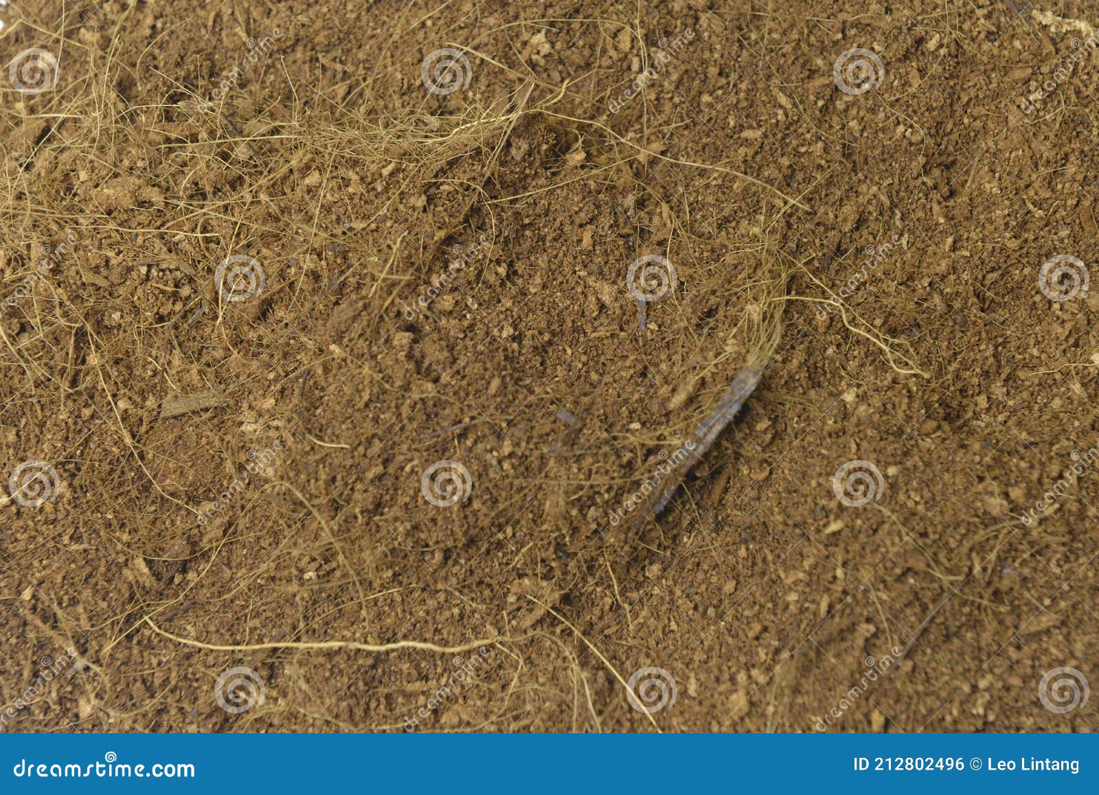 Close Up View of Soil Ground Texture Stock Photo - Image of fertile ...