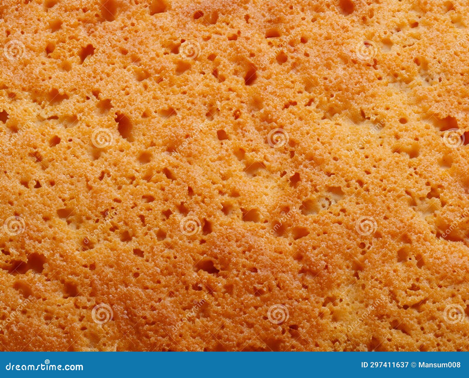 View on Sponge Cake Texture Stock Image - Image of wheat, white: 297411637