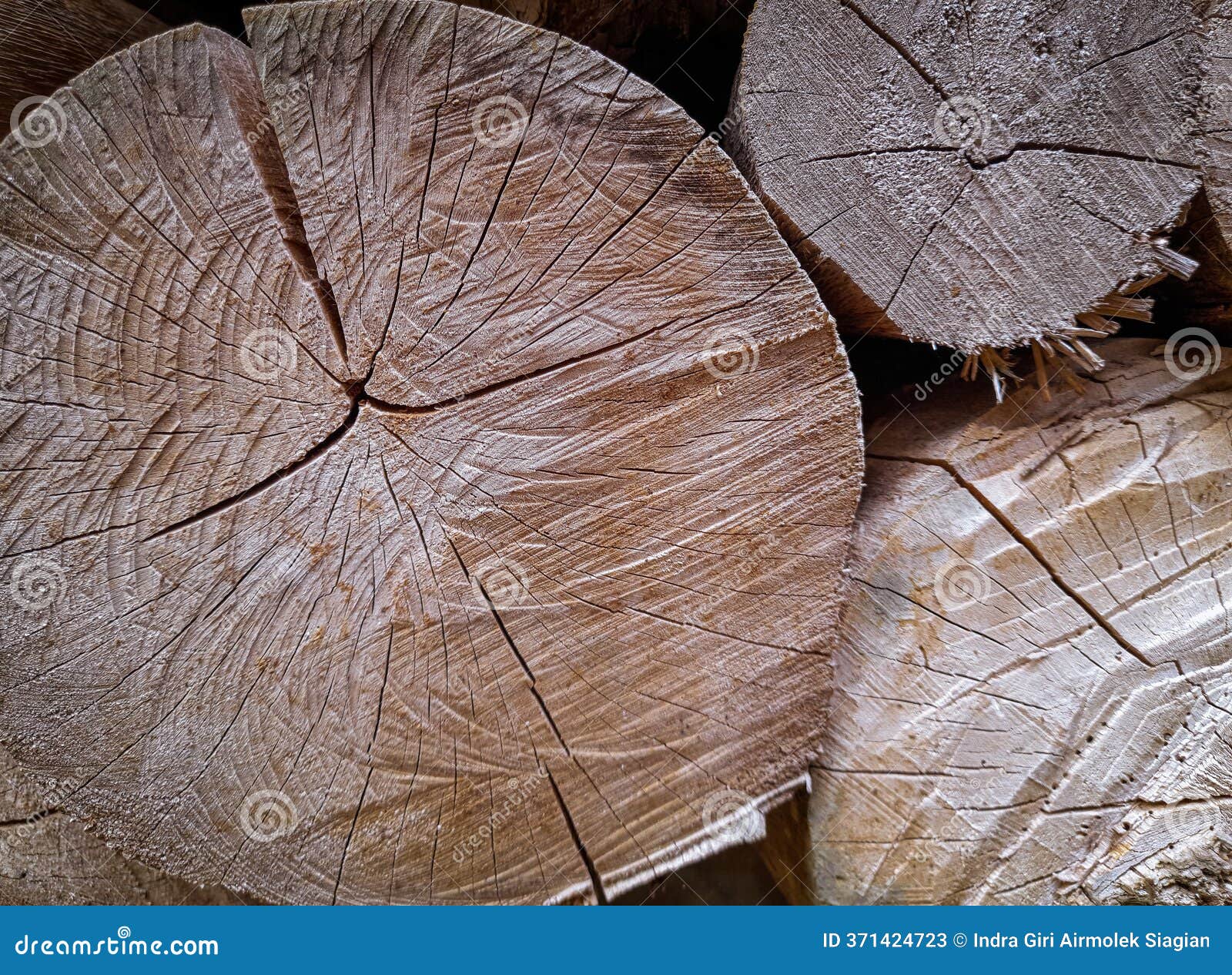 Circular Cross Section Of Gas Cylinder Regulator Stock Image ...