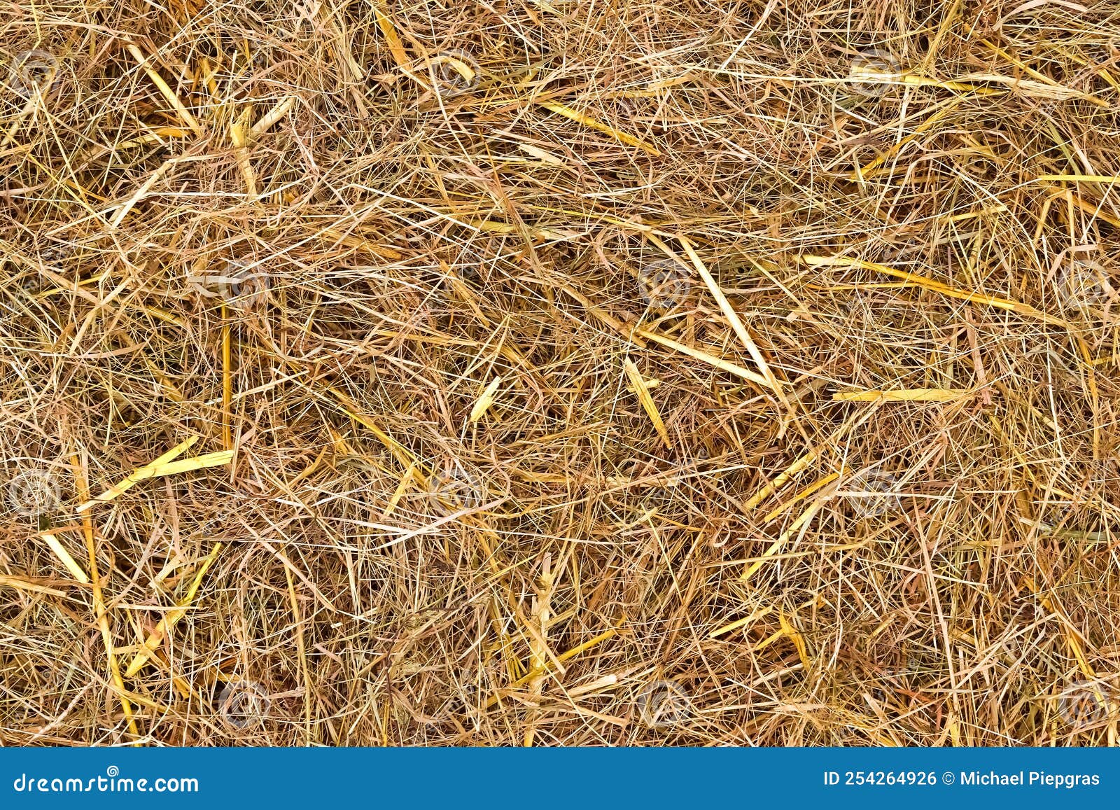 Close Up View at the Surface of Golden Straw Stock Photo - Image of ...