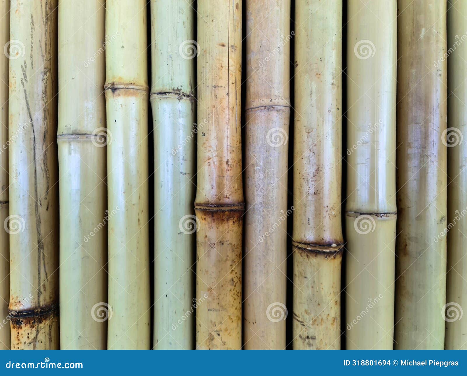 Close Up View of the Surface of a Wall Made of Bamboo Tubes Stock Photo ...