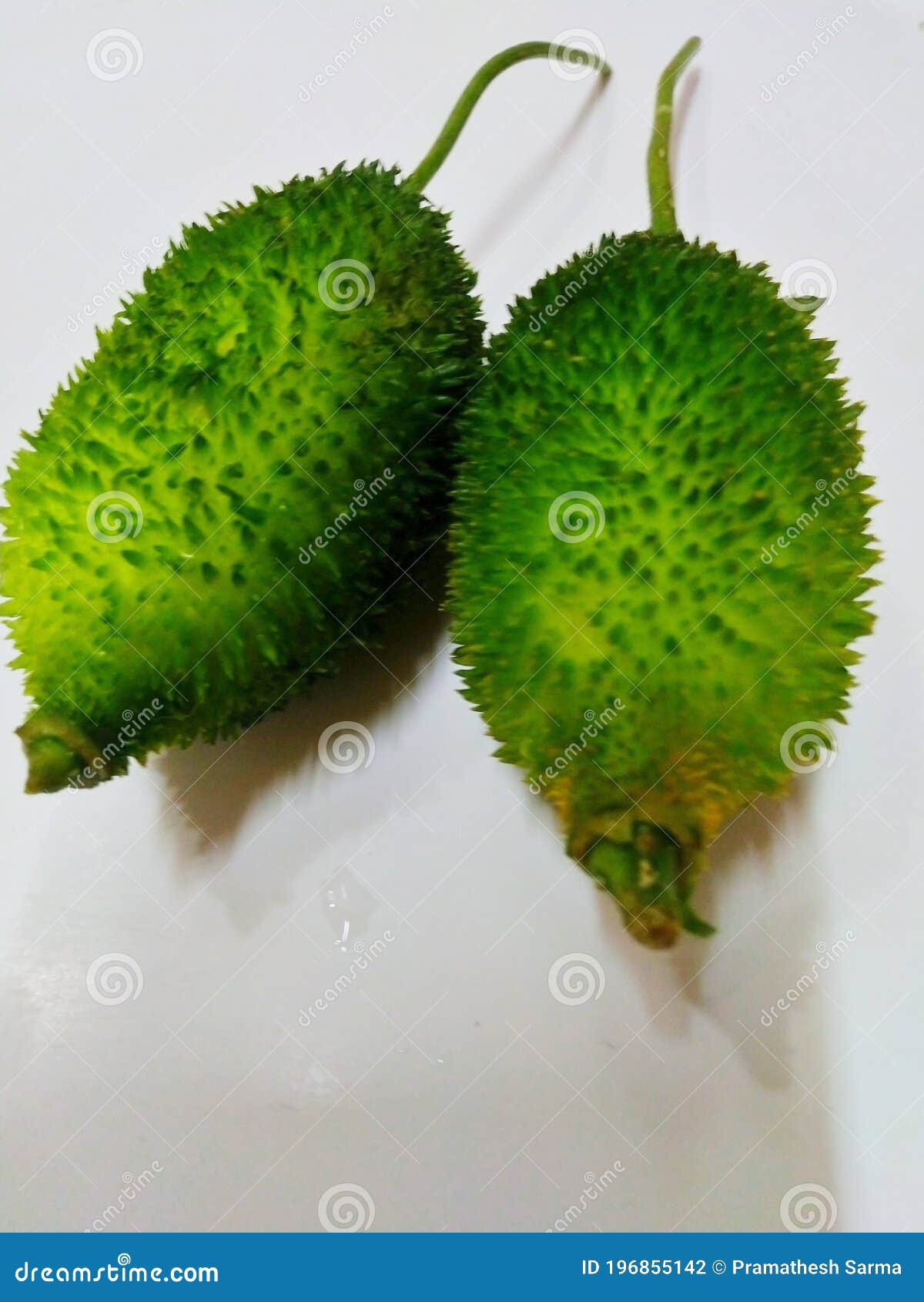 A Close Up View of Sweet Gourd Vegetable Stock Photo - Image of close ...